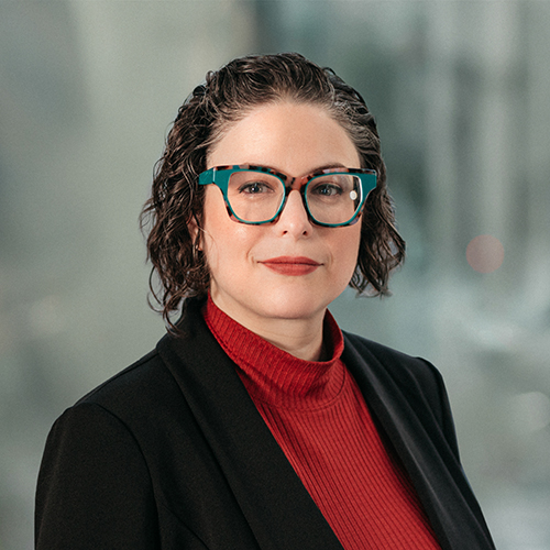 DEI in Advancement Services